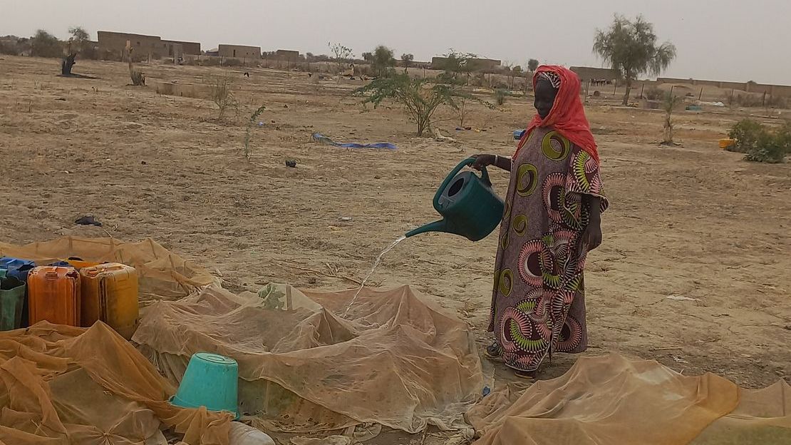 Mali: climate change forces famers to work overtime | Humanity ...